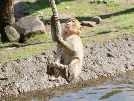 Страница 506 - Новости | STARHIT