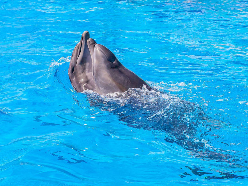 Страница 349 - Новости | STARHIT