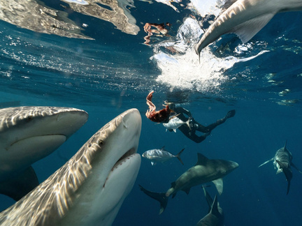 Страница 425 - Новости | STARHIT