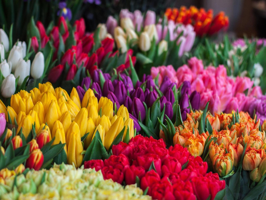 Страница 164 - Новости | STARHIT