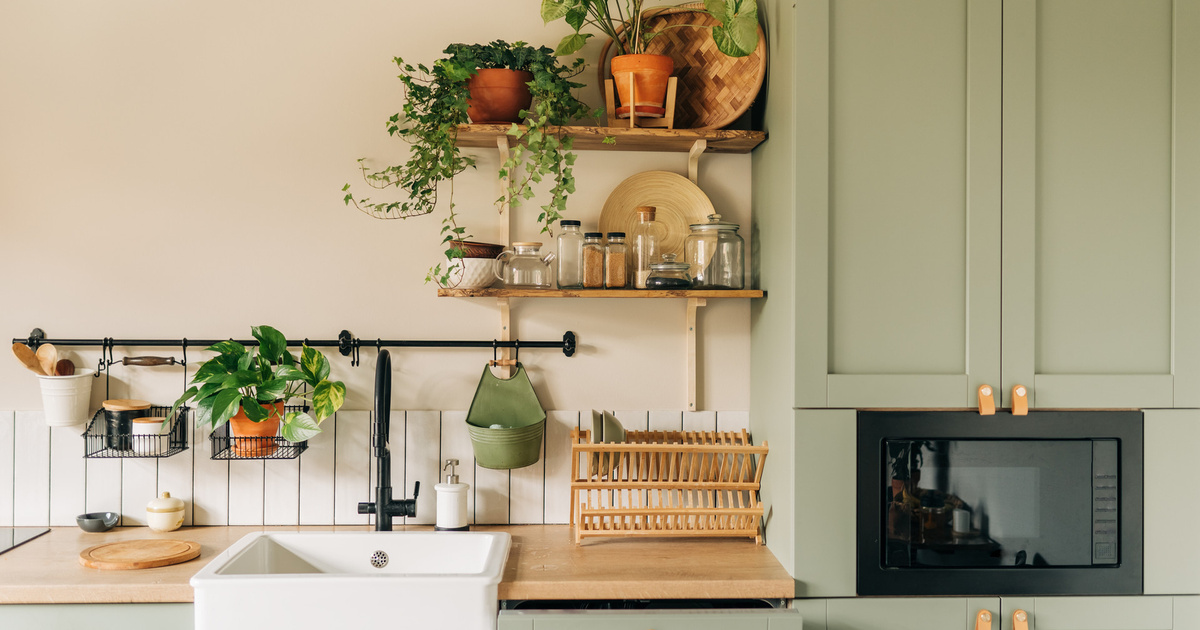 8 идеальных растений для кухни | myDecor